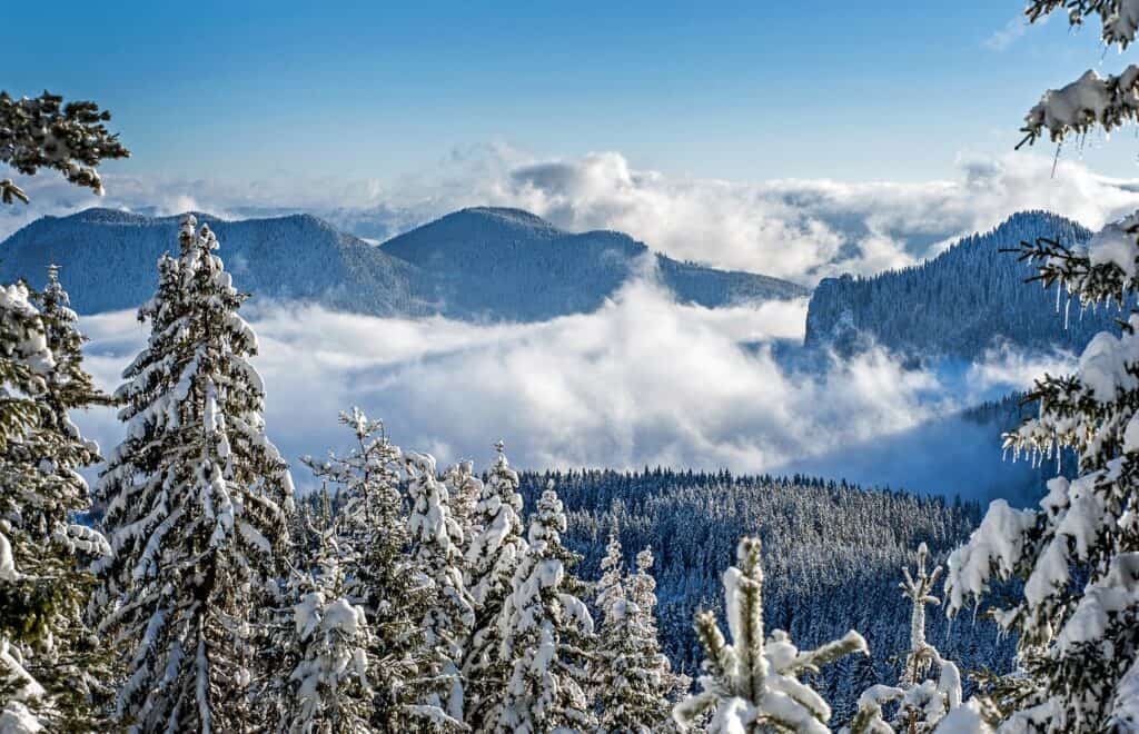 Travel To Bulgaria Your Complete Official Tourism Guide